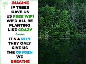 37 Happy Earth Day Memes