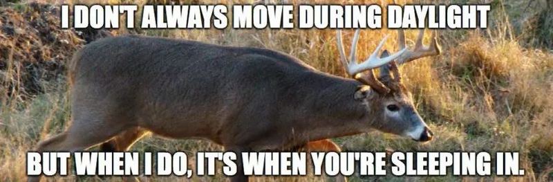 47 Top Hilarious Hunting Memes for Every Outdoors Enthusiast