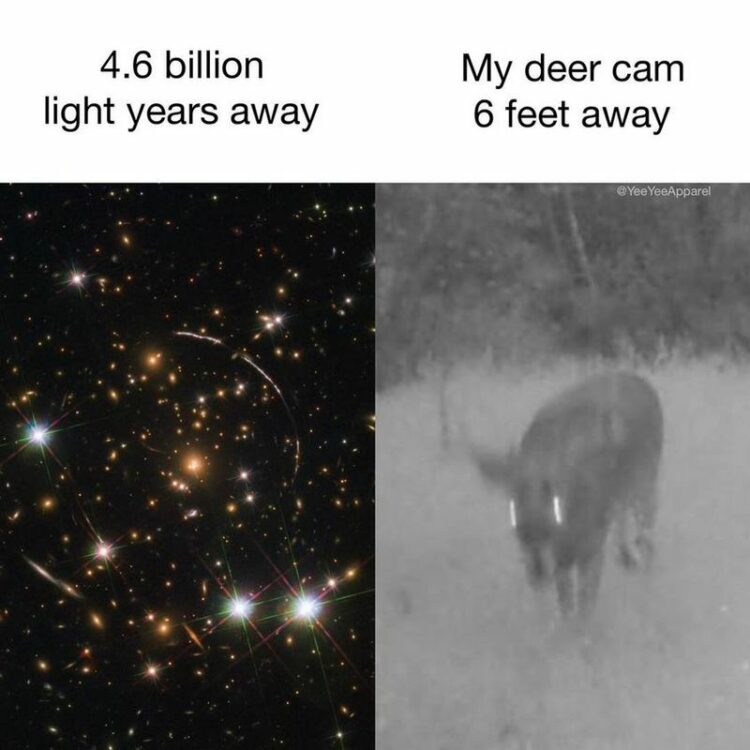 47 Top Hilarious Hunting Memes for Every Outdoors Enthusiast