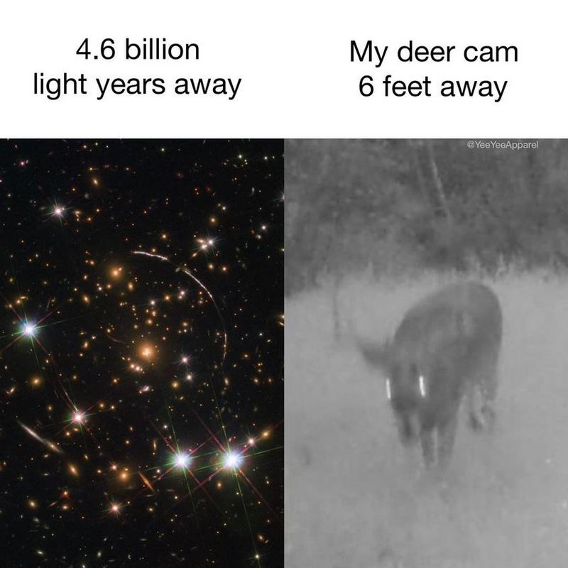 47 Top Hilarious Hunting Memes for Every Outdoors Enthusiast