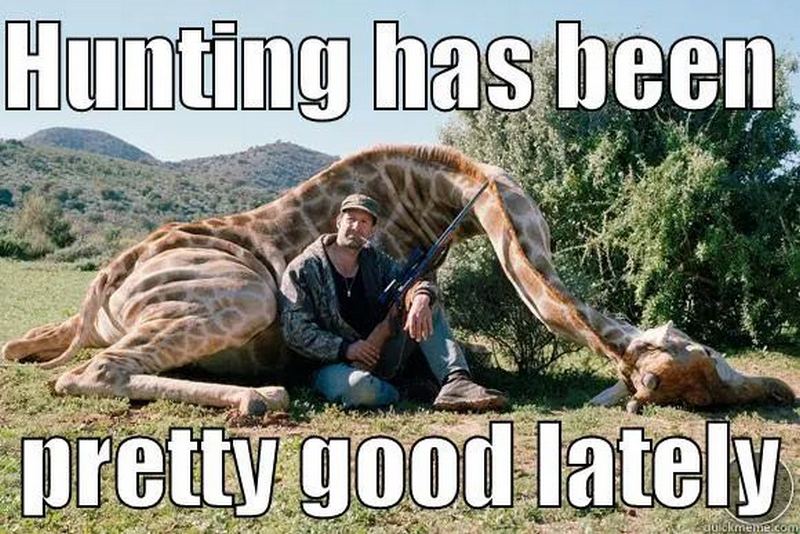 47 Top Hilarious Hunting Memes for Every Outdoors Enthusiast