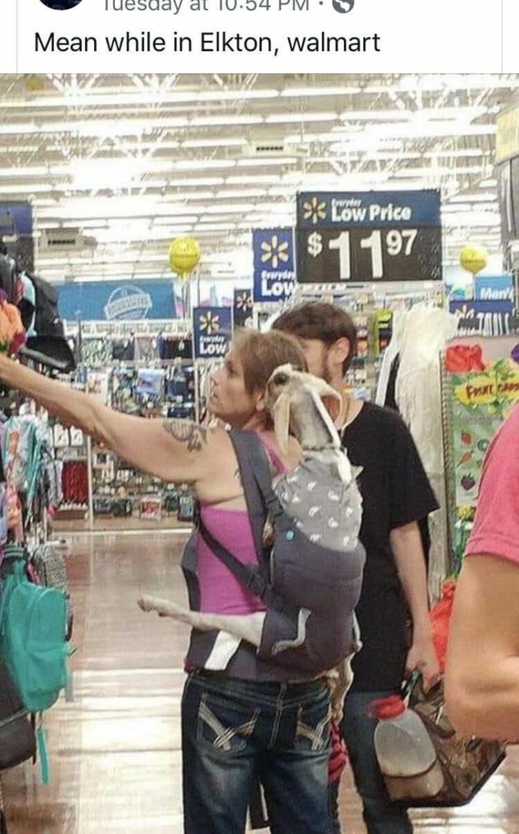 43 Hilarious Walmart Memes to Brighten Your Day