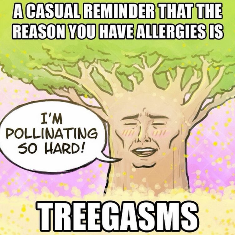 49 Funny Allergy Memes Uniting Laughter and Sniffles