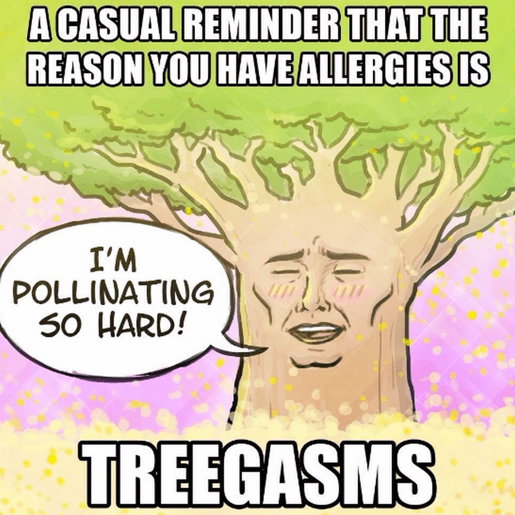 49 Funny Allergy Memes Uniting Laughter and Sniffles