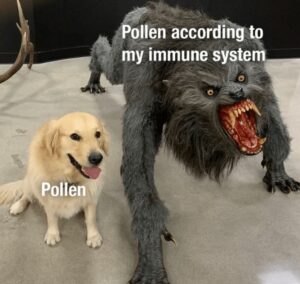 49 Funny Allergy Memes Uniting Laughter and Sniffles