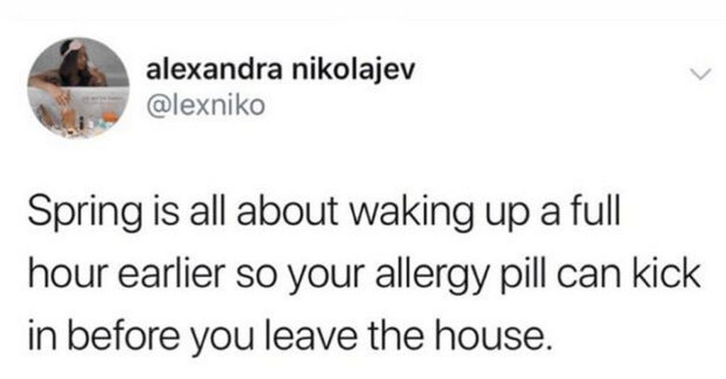 49 Funny Allergy Memes Uniting Laughter and Sniffles