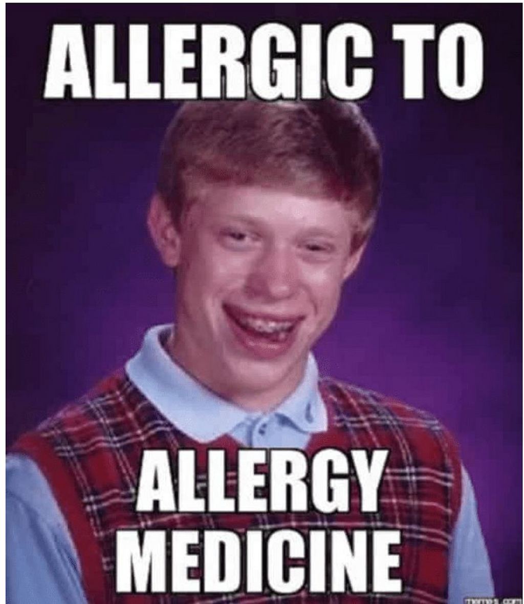 49 Funny Allergy Memes Uniting Laughter and Sniffles