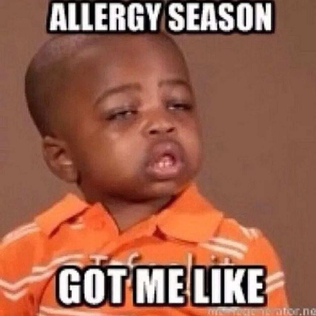49 Funny Allergy Memes Uniting Laughter and Sniffles