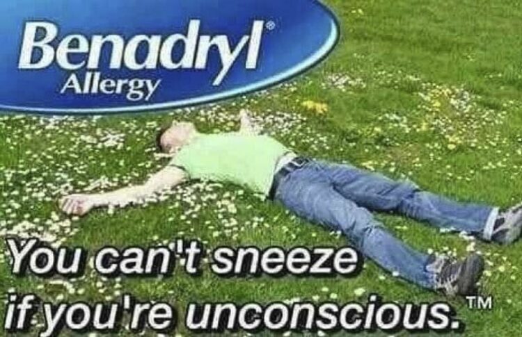 49 Funny Allergy Memes Uniting Laughter and Sniffles