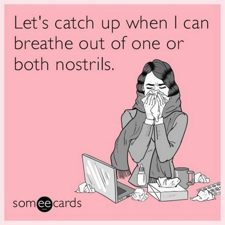 49 Funny Allergy Memes Uniting Laughter and Sniffles