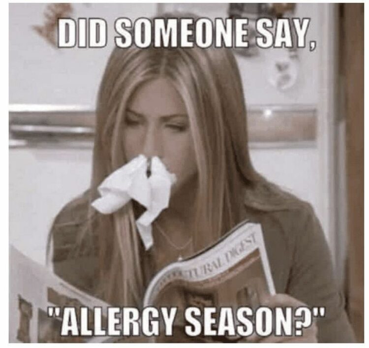 49 Funny Allergy Memes Uniting Laughter and Sniffles