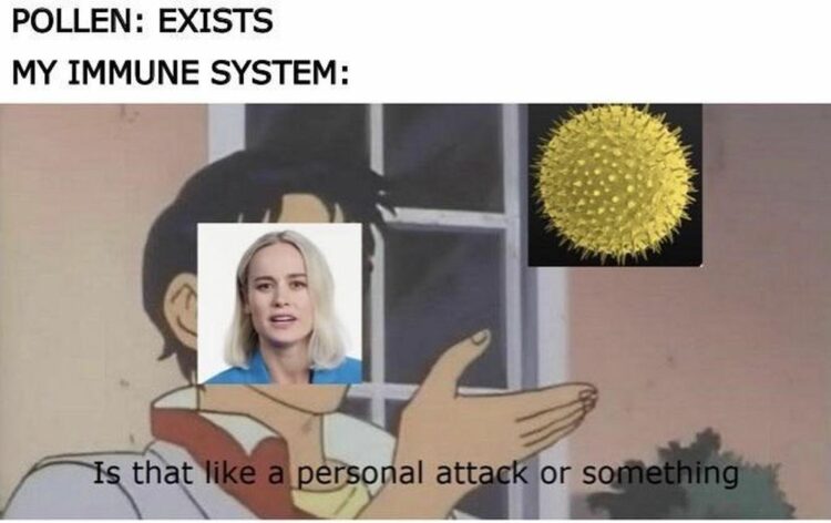 49 Funny Allergy Memes Uniting Laughter and Sniffles