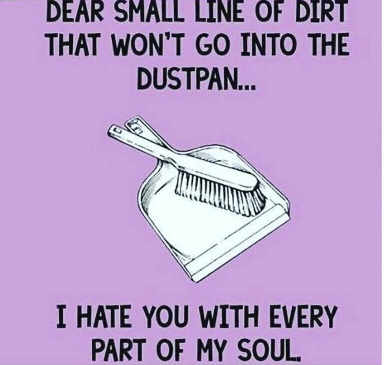 35 Hilarious Cleaning Memes About Tackling Household Chores