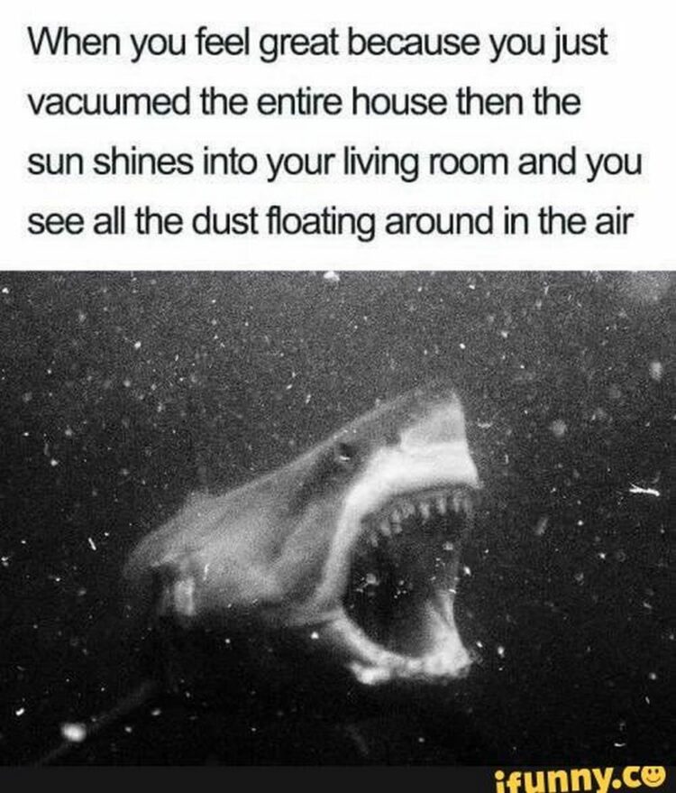 35 Hilarious Cleaning Memes About Tackling Household Chores