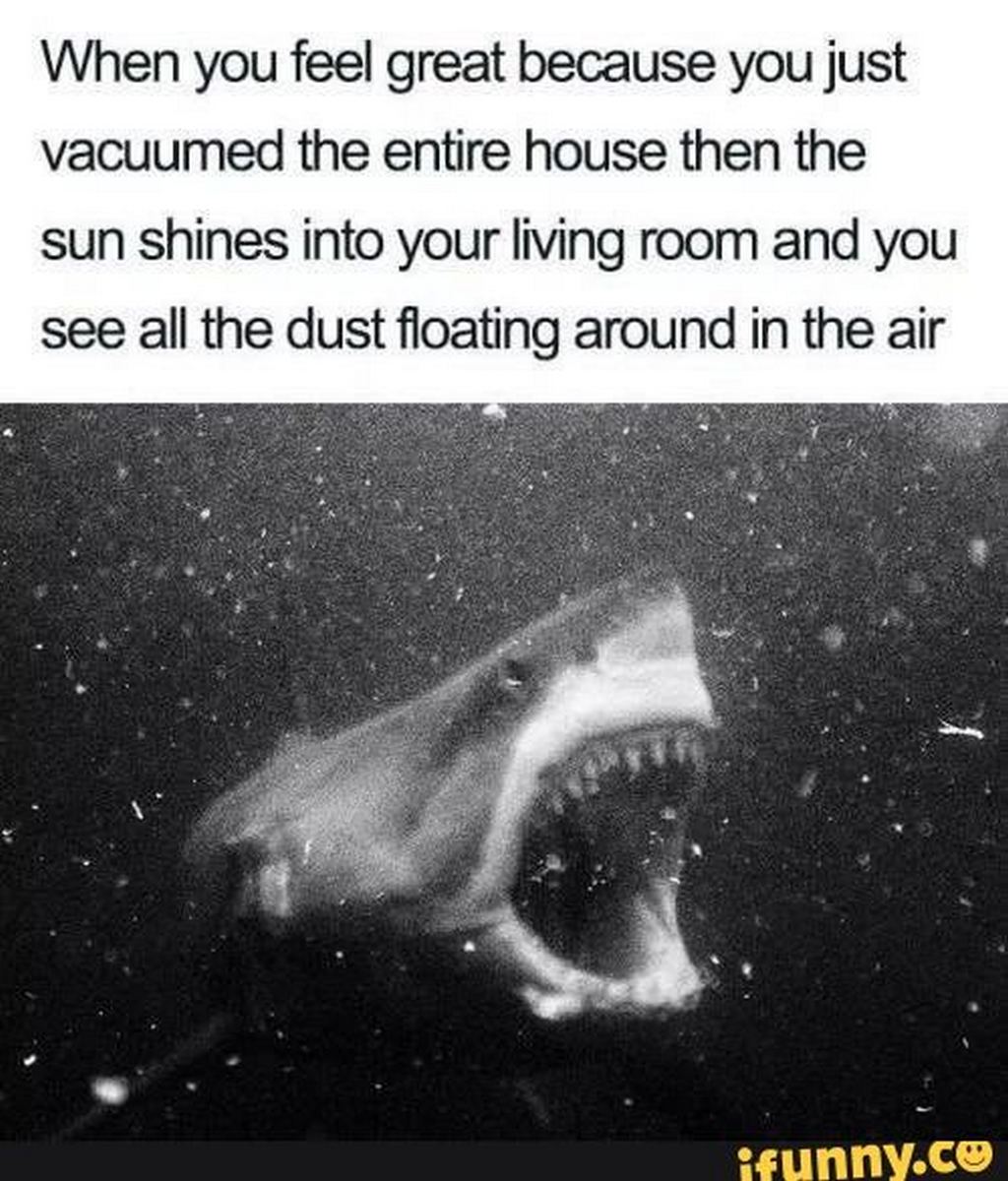 35 Hilarious Cleaning Memes About Tackling Household Chores