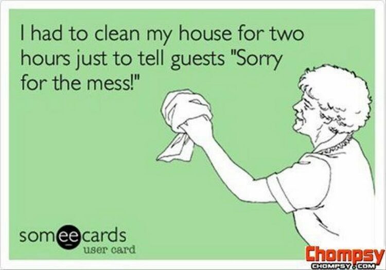 35 Hilarious Cleaning Memes About Tackling Household Chores