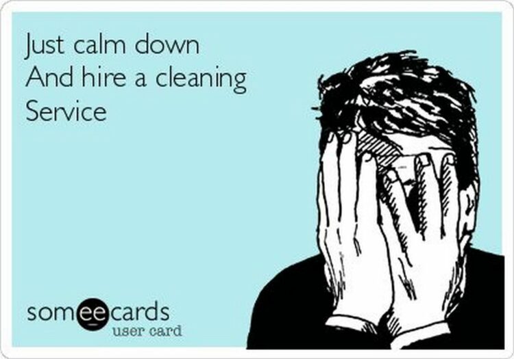 35 Hilarious Cleaning Memes About Tackling Household Chores
