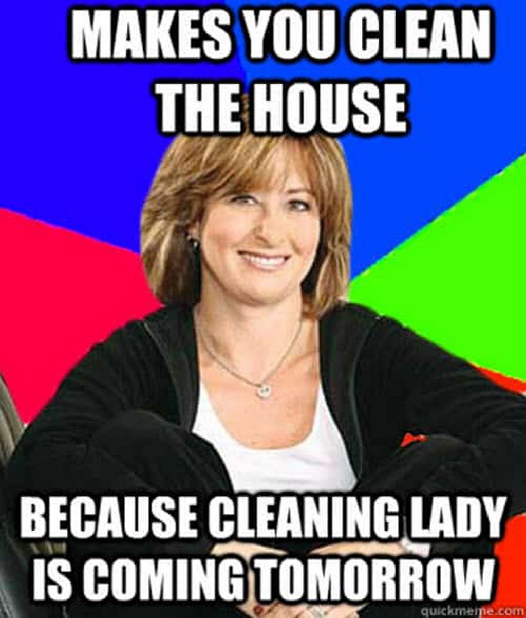 35 Hilarious Cleaning Memes About Tackling Household Chores
