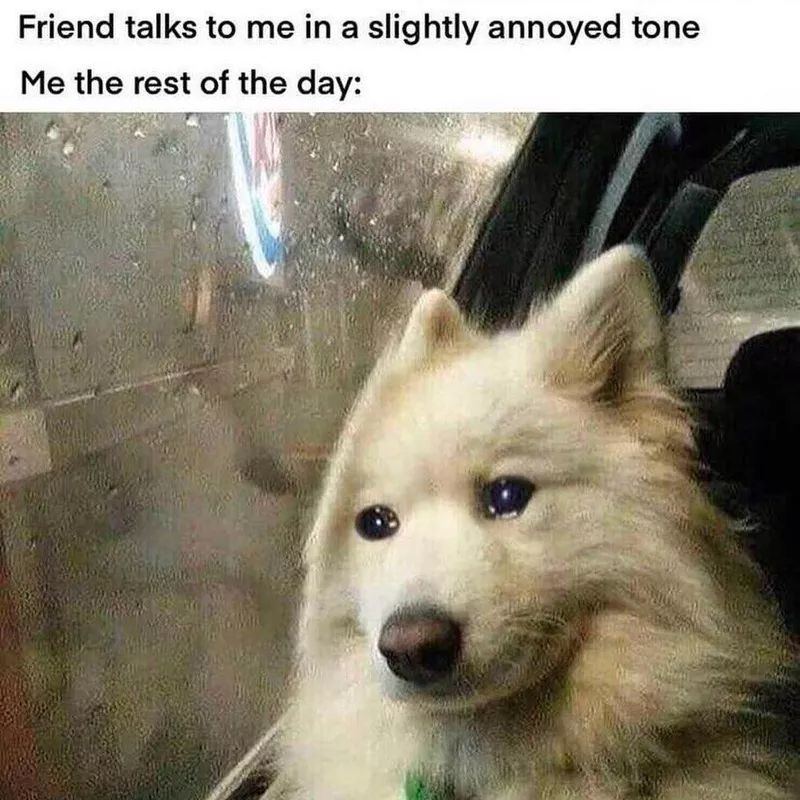 47 Hilarious Crying Memes That Will Make You Laugh Until You Cry