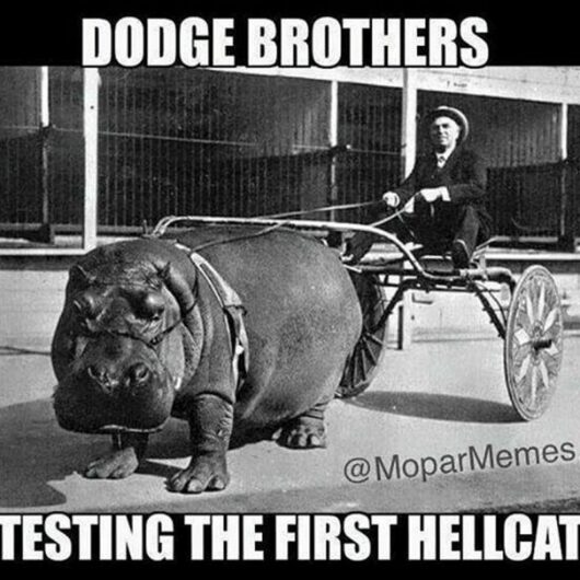 51 Funny Dodge Memes That Will Make You Rev Your Engines