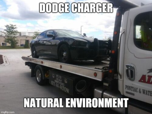 51 Funny Dodge Memes That Will Make You Rev Your Engines