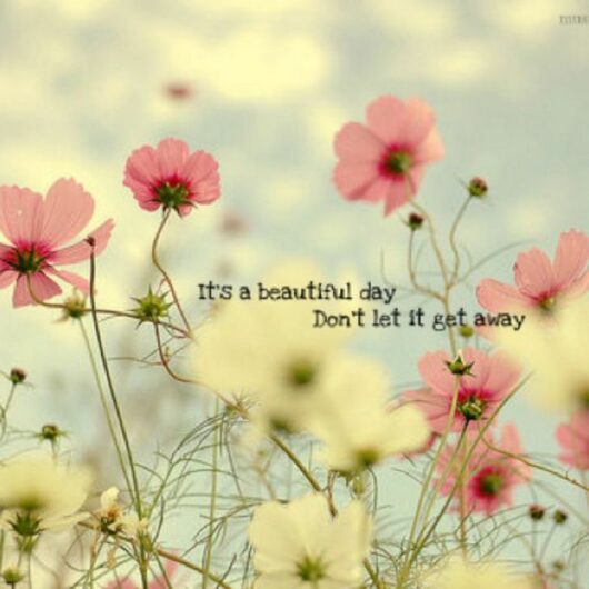 41 Delightful Flower Memes Blooming with Laughter