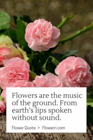 41 Delightful Flower Memes Blooming with Laughter
