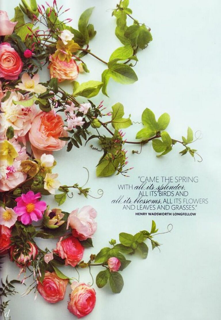 41 Delightful Flower Memes Blooming with Laughter