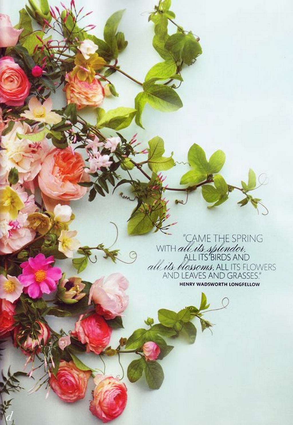 41 Delightful Flower Memes Blooming with Laughter