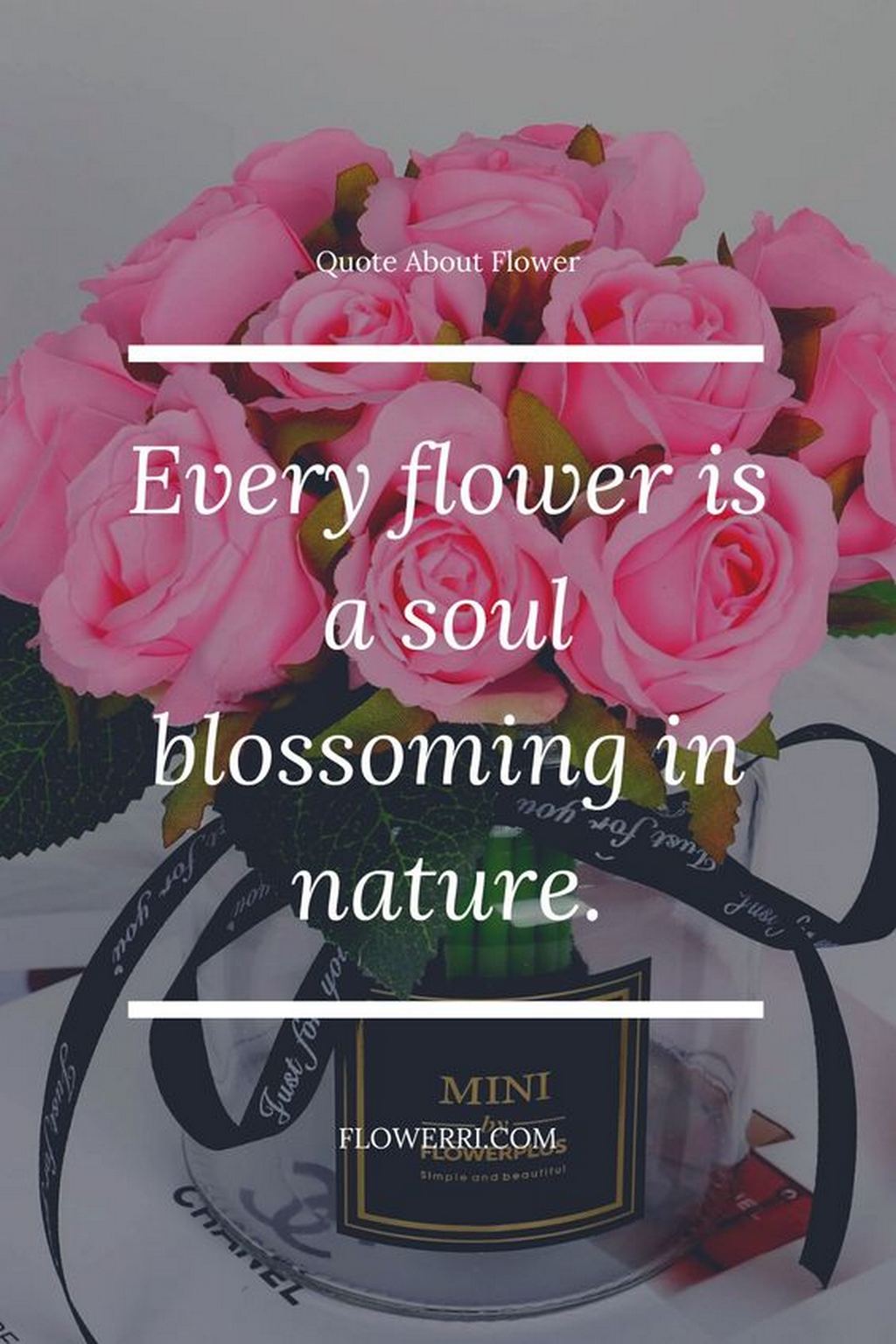 41 Delightful Flower Memes Blooming with Laughter