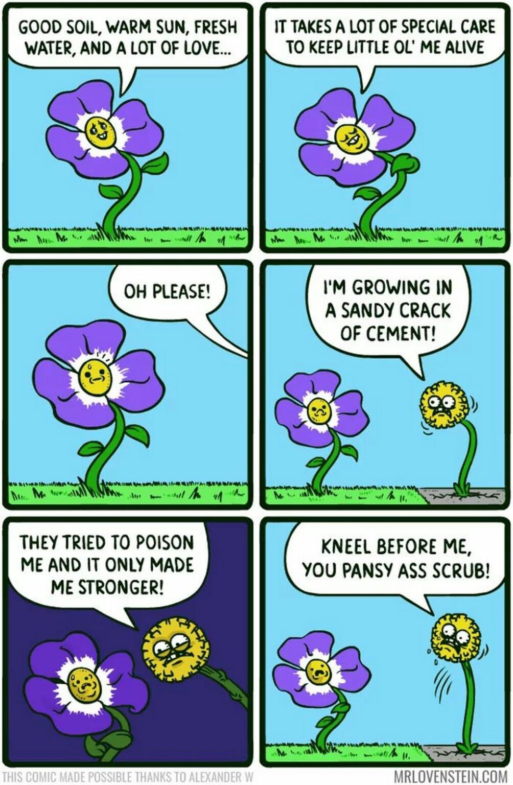41 Delightful Flower Memes Blooming with Laughter