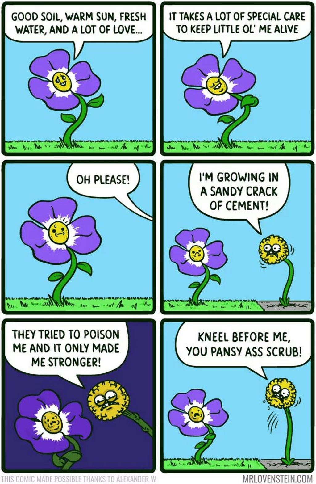 41 Delightful Flower Memes Blooming with Laughter