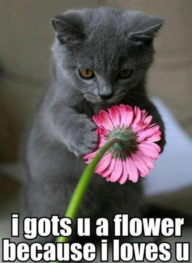 41 Delightful Flower Memes Blooming with Laughter