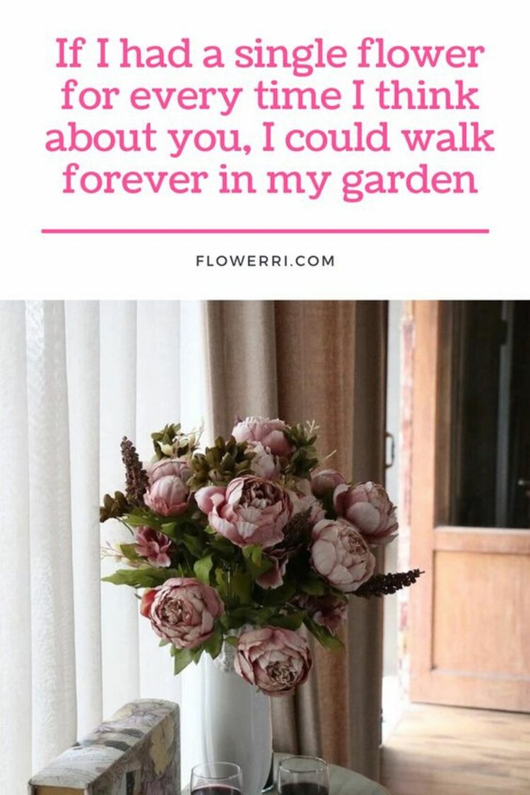 41 Delightful Flower Memes Blooming with Laughter