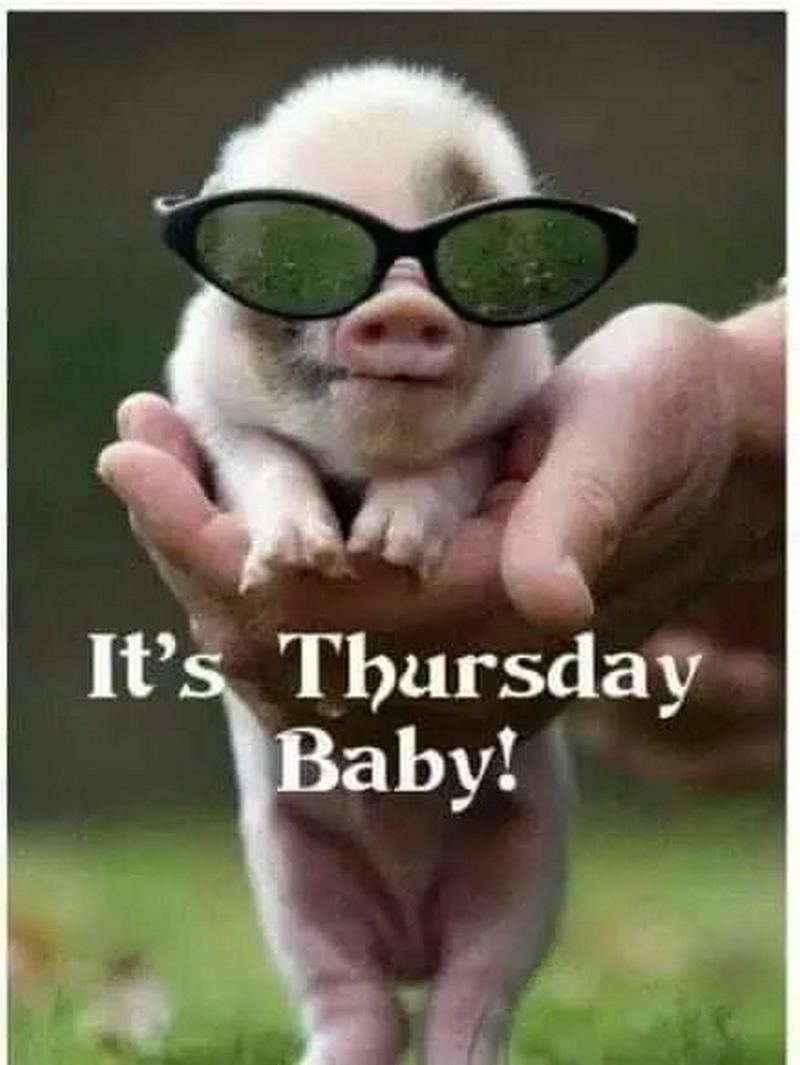 61 Hilarious Happy Friday Eve Memes to Light Up Your Day!