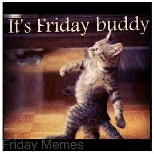 61 Hilarious Happy Friday Eve Memes to Light Up Your Day!