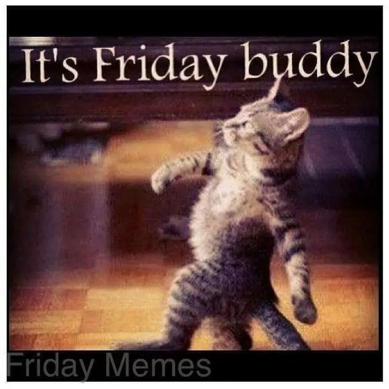 61 Hilarious Happy Friday Eve Memes to Light Up Your Day!