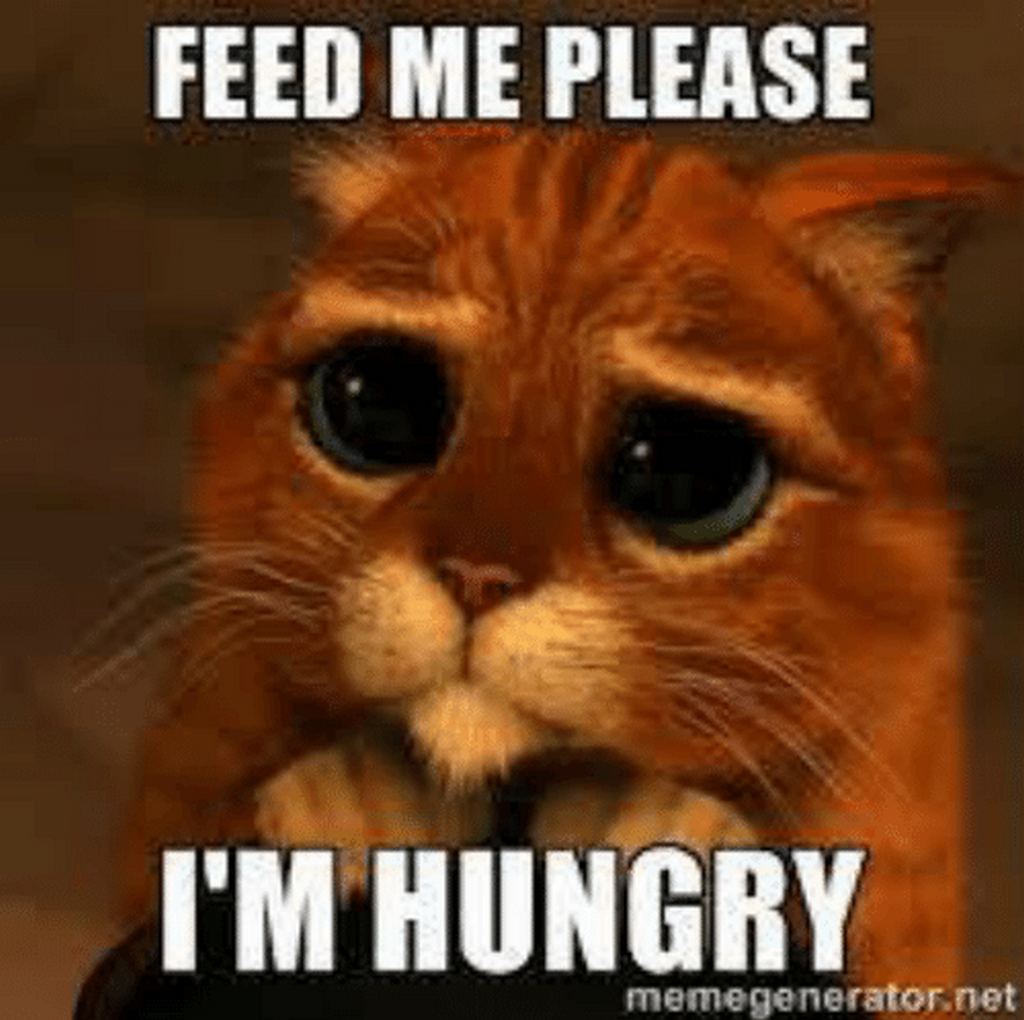 45 Hungry Memes to Satisfy Your Appetite for Laughter!