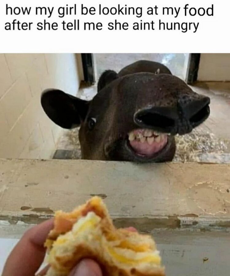 45 Hungry Memes to Satisfy Your Appetite for Laughter!