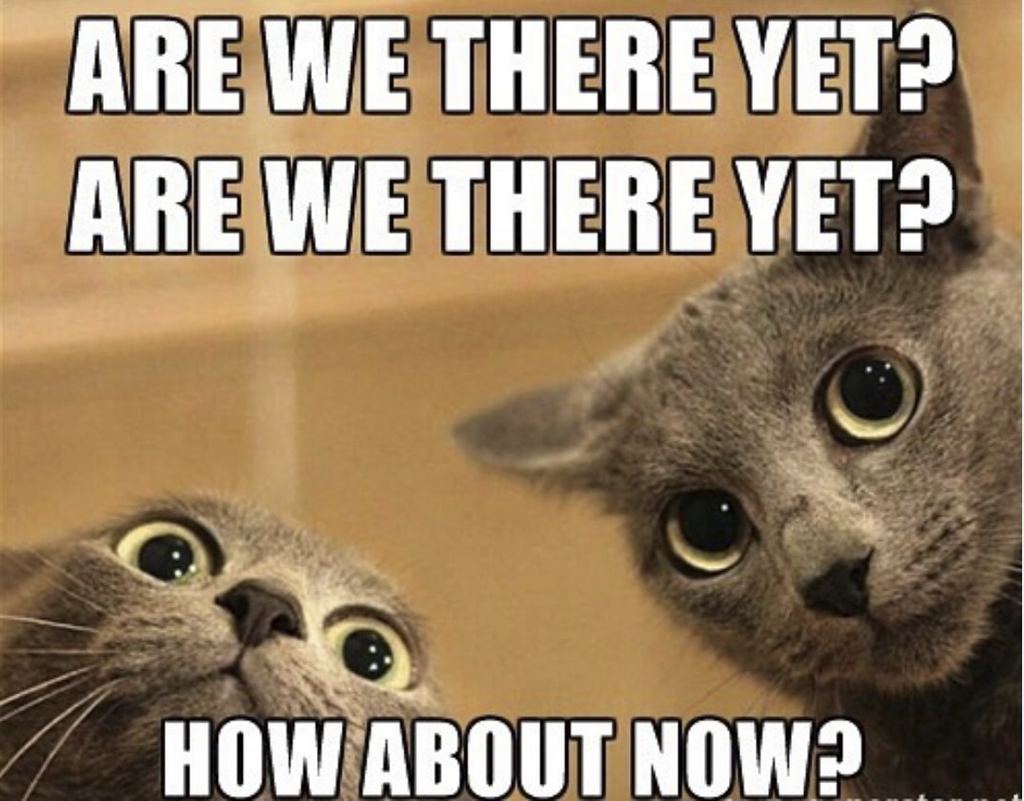 37 Funny Road Trip Memes for a Laughter-Filled Journey