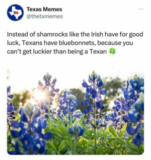 33 Hilarious Texas Memes That Are Lone Star State Classics