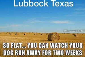 33 Hilarious Texas Memes That Are Lone Star State Classics