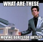 51 Hilarious Moving Memes that Capture the Chaos of Relocating