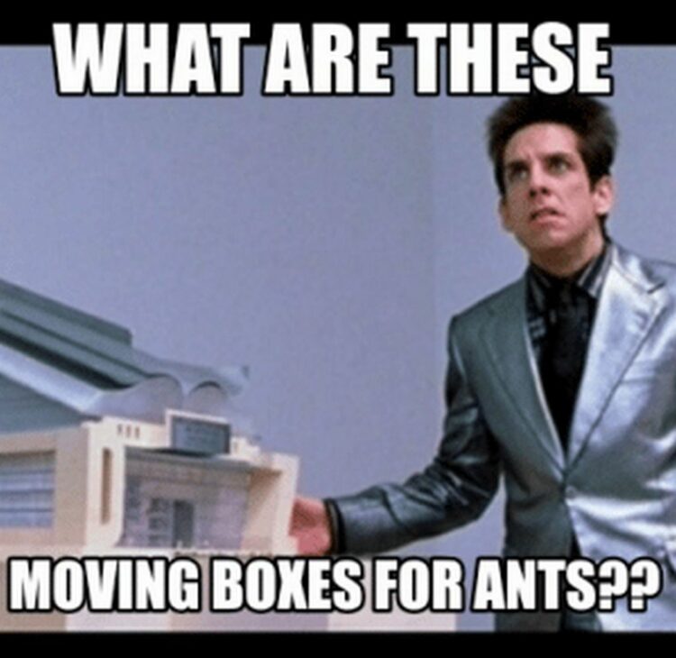 51 Hilarious Moving Memes that Capture the Chaos of Relocating