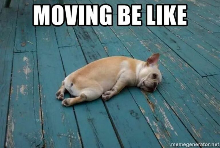 51 Hilarious Moving Memes that Capture the Chaos of Relocating