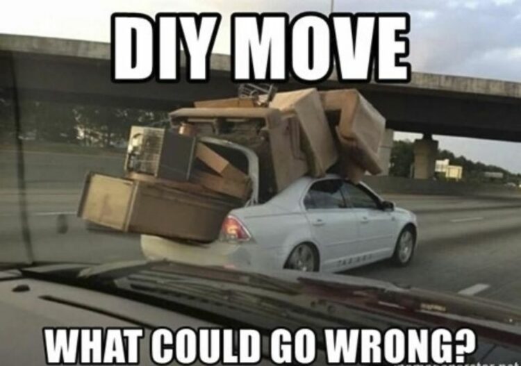 51 Hilarious Moving Memes that Capture the Chaos of Relocating