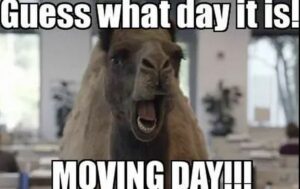 51 Hilarious Moving Memes that Capture the Chaos of Relocating