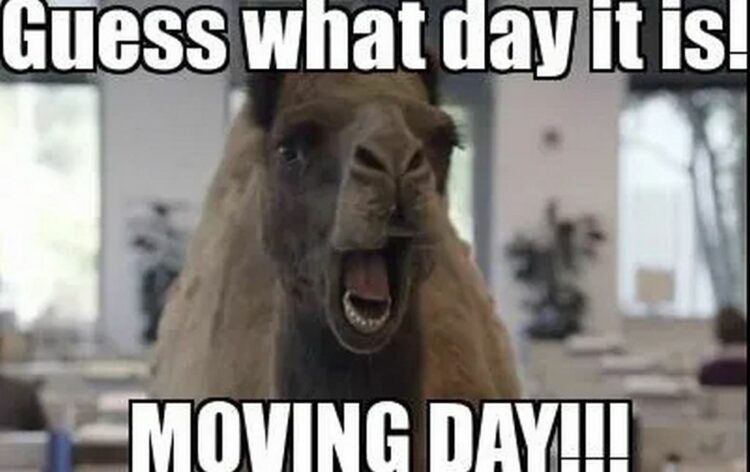 51 Hilarious Moving Memes that Capture the Chaos of Relocating