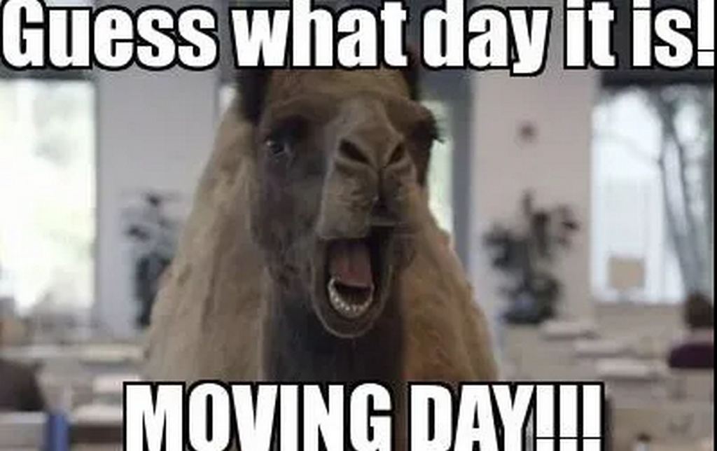 51 Hilarious Moving Memes that Capture the Chaos of Relocating