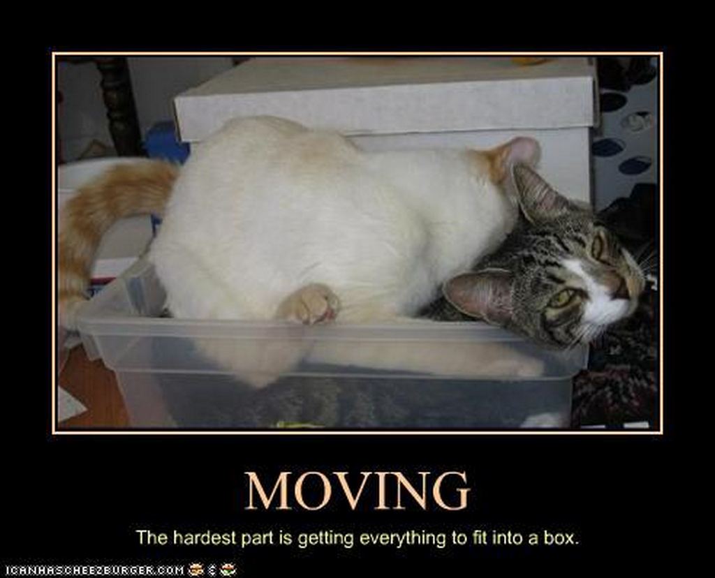 51 Hilarious Moving Memes that Capture the Chaos of Relocating
